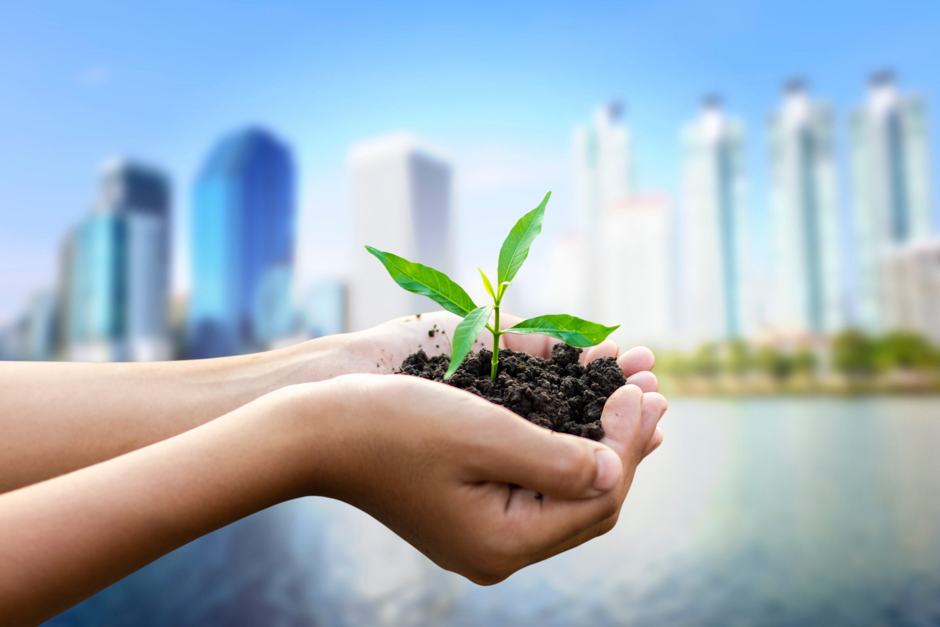 BREEAM- Landgebruik en ecologie